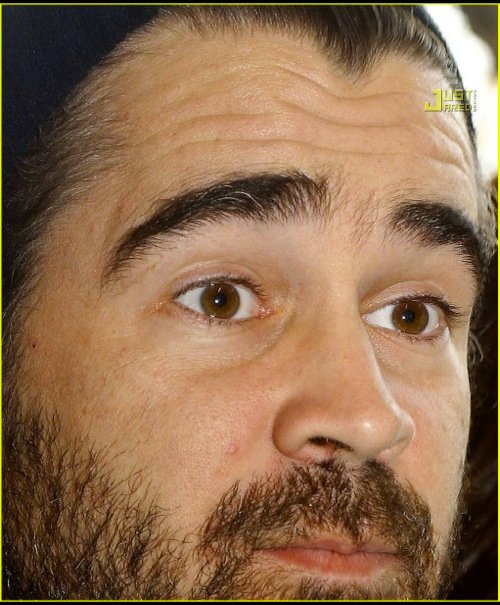 Colin Aliff-abrakebabra-01 ← Honduras Shopping